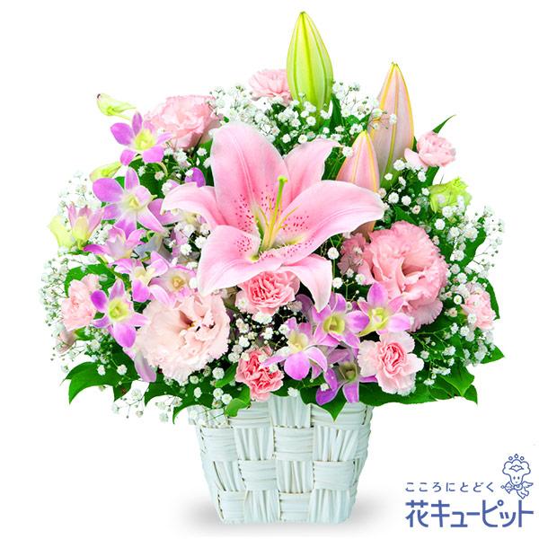 ユリとデンファレを中心に、ピンクの花々をたっぷりとアレンジしました。愛らしい色合いでまとめたアレンジメントは、恋人や奥様へのプレゼントにおすすめです。524150ピンクの花々をたっぷりとアレンジ　　　【こんなご用途に】敬老の日　2026年　...