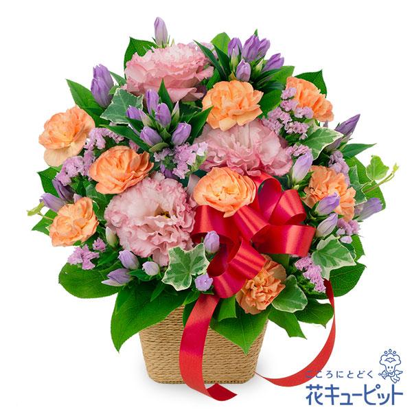 華やかなトルコキキョウと秋の花であるリンドウをあわせて、秋らしい色合いでまとめたアレンジメントです。鮮やかな赤のリボンがポイント。秋生まれの人の誕生日プレゼントや、敬老の日、還暦祝いなどの贈り物にもぴったりなフラワーギフトです。524369...