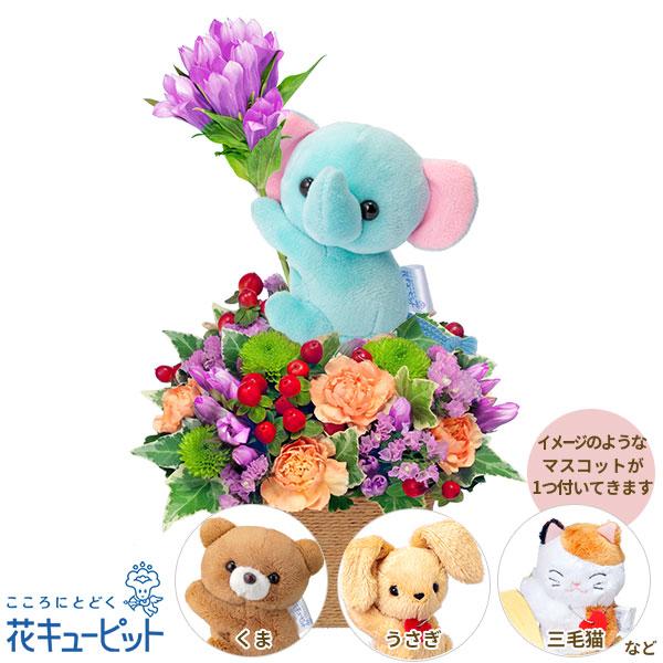 秋の花であるリンドウに、かわいい動物のマスコットを添えました。花キューピットで人気のマスコット付きアレンジメントは、女性やお子様へのプレゼントにぴったりです。マスコットは、コアラ・くま・三毛猫などの豊富なラインナップから1つお付けいたします...