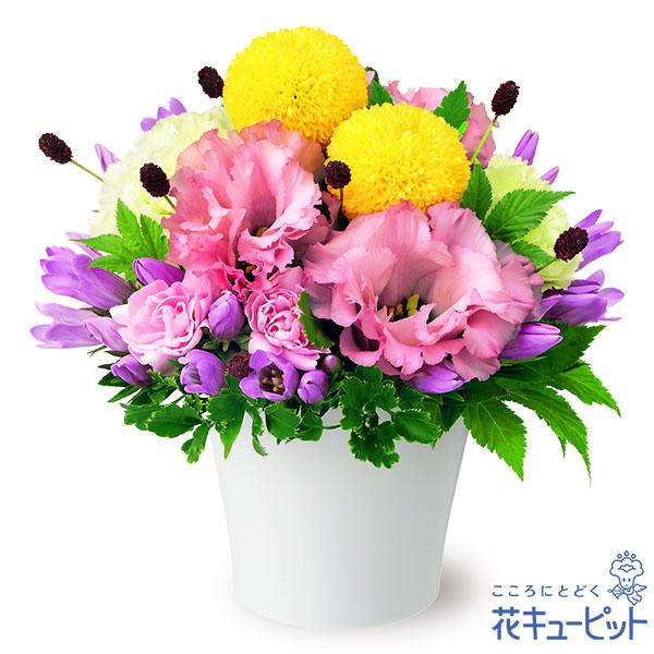 お月見をイメージした、9月限定のアレンジメント。まるで満月のような黄色いマムを中心に、秋の花をたっぷり使っています。秋のイベントや記念日のプレゼントにおすすめです。525197満月のような黄色いマムがポイントです　　　【こんなご用途に】敬老...