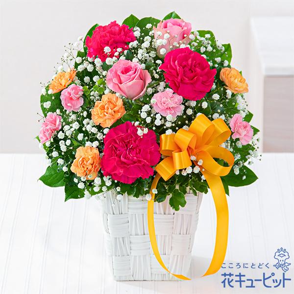 母の日にぴったりなカーネーションと「花の女王」とも呼ばれている王道のバラをあわせたアレンジメントです。まるでお母さんの笑顔のような可愛らしい色合いと、プレゼントには欠かせないオレンジのリボンがポイント。花キューピットで長年愛され続けている、...