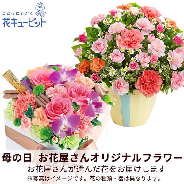 素敵なアレンジメントをお届けします。花材はお花屋さんにおまかせください。ogmap045鮮度の良いお花をお届け！　2026年母の日。母の日に遅れても気持ちは伝わります。花キューピットの母の日遅れてごめんねギフト　　【こんなご用途に】母の日　...