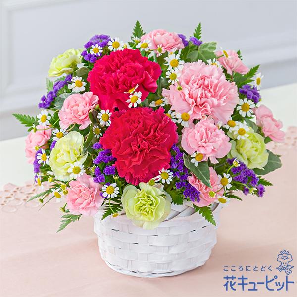 ピンクのカーネーションを中心にまとめた、可愛らしいアレンジメントです。散りばめられた紫の花がワンポイントとなっています。お母さんの心をくすぐるような、ポップな雰囲気のギフトに仕上げました。「母の日におしゃれな色合いの花をプレゼントしたい」と...