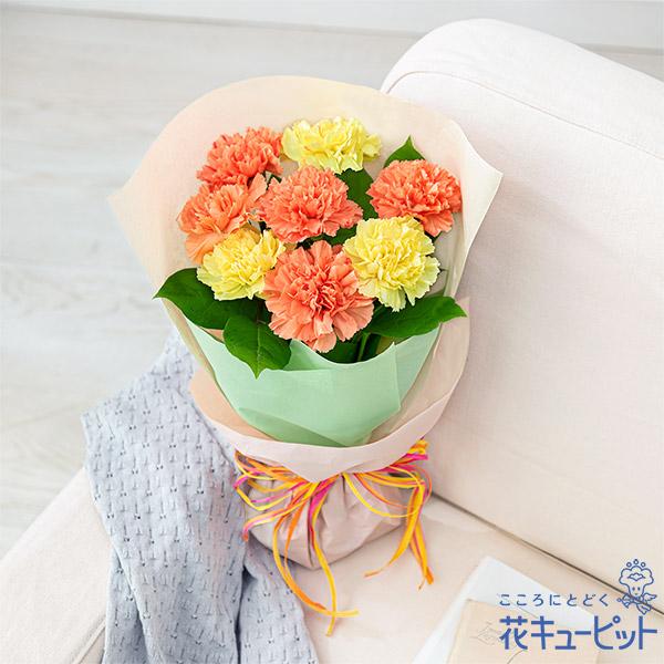 純粋な感謝の気持ちをまっすぐに届けられる、シンプルなカーネーションの花束です。カーネーションは母の日に高い人気を誇る王道のフラワーギフト。淡く優しい黄色と鮮やかなオレンジの組み合わせが、ジューシーで元気いっぱいなデザインです。普段は照れくさ...