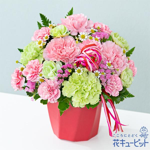 ピンクの濃淡が楽しめる、花キューピットの2026年新作母の日アレンジメント。ピンクとグリーンのカーネーションを中心に、ナチュラルで心がほっとするような雰囲気に仕上げたフラワーギフトです。存在感のあるビビッドなリボンと器が可愛らしいプレゼント...
