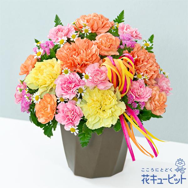 あたたかみのある色合いでまとめた、花キューピットの2026年新作母の日アレンジメント。オレンジと黄色のカーネーションを中心に、心がうきうきするような雰囲気に仕上げました。ビタミンカラーのビビッドなリボンと、深みのあるチョコレート色の器のコン...