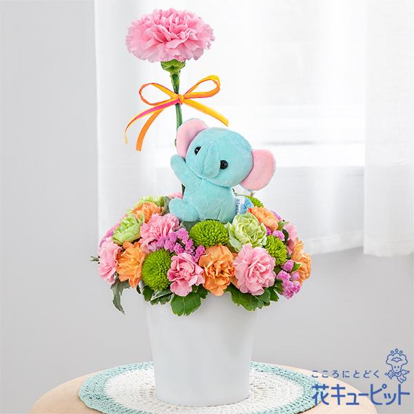毎年人気のシリーズであるマスコット付きアレンジメントに、2026年は新たにぞうがラインナップしました。晴れ渡る空色のぞうのマスコットは、見るだけで爽やかな気持ちになるはず。カラフルな花畑にちょこんと座ったぞうが、母の日にぴったりなピンクのカ...