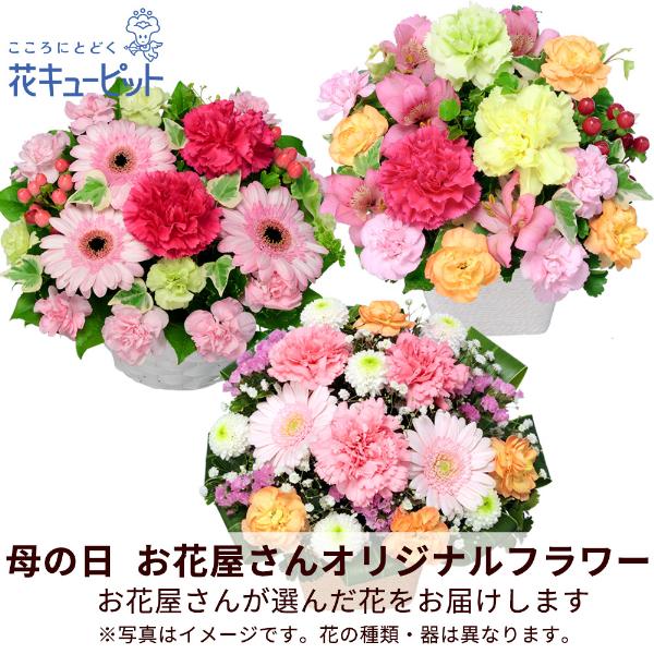 素敵なアレンジメントをお届けします。花材はお花屋さんにおまかせください。map004鮮度の良いお花をお届け！　2026年母の日。花キューピット限定厳選フラワーギフト。花のプレゼントが、感謝をまっすぐに伝えます。最終5/8 9時までのご注文で...