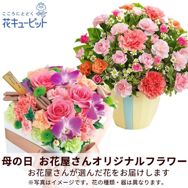 素敵なアレンジメントをお届けします。花材はお花屋さんにおまかせください。map045鮮度の良いお花をお届け！　2026年母の日。花キューピット限定厳選フラワーギフト。花のプレゼントが、感謝をまっすぐに伝えます。最終5/8 9時までのご注文で...