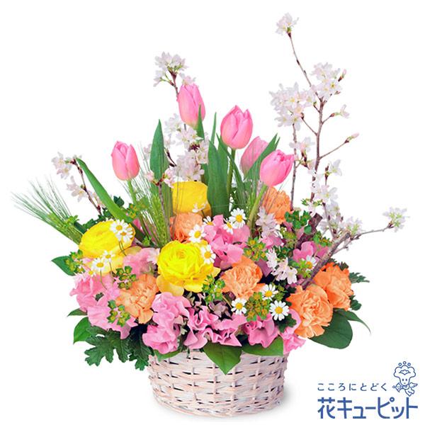春を代表する花である桜を中心に、チューリップやスイートピーなどの花々を種類豊富に取り入れたアレンジメント。使用している春の花々はピンクをベースに黄色やオレンジを加えて、楽しいことが待っているワクワクする季節を表現しています。523052春の...