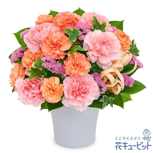 ふんわりと優しげな花々をぎゅっと集めて、柔らかいシルエットに仕上げたアレンジメント。ナチュラルで可愛らしいデザインです。あたたかみのある暖色系でまとめたギフトは、年齢を問わずお贈りいただけます。525356あたたかみのある暖色系でまとめまし...