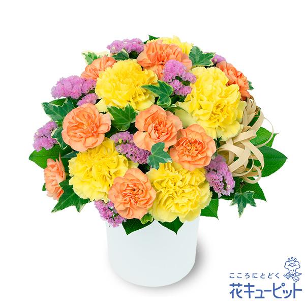 ふんわりと優しげな花々をぎゅっと集めて、柔らかいシルエットに仕上げたアレンジメント。ナチュラルで可愛らしいデザインです。ビタミンカラーでまとめたギフトは、男性・女性を問わずお贈りいただけます。【こちらの商品は5月・6月・8月・10月・12月...