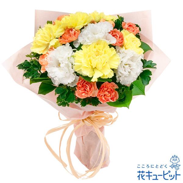 淡い黄色のカーネーションにオレンジや白の花々をあわせた、フレッシュな印象の花束。ラッピングはナチュラルで落ち着いた雰囲気に仕上げました。誕生日や退職祝いとして、男性・女性を問わずにお贈りいただけるフラワーギフトです。524403淡い黄色のカ...