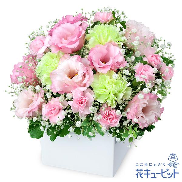 トルコキキョウをメインにふんわりとした雰囲気に仕上げた、ペットのためのお供えのアレンジメントです。淡い色合いが、飼い主様の心を優しく癒してくれるはず。飼い主様が少しでも前向きな気持ちになれるよう、明るい印象に仕上げました。524259ふんわ...