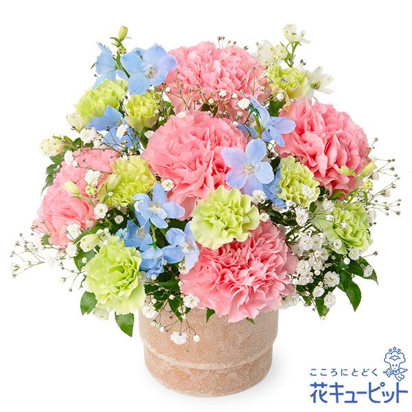 ピンクや水色の花々を使った、ペットのためのお供えのアレンジメントです。明るい色合いの花をウッド調の器にたっぷりと活けて、飼い主様を元気付けられるように仕上げました。色とりどりの優しげな花が、飼い主様の心にそっと寄り添います。525013優し...