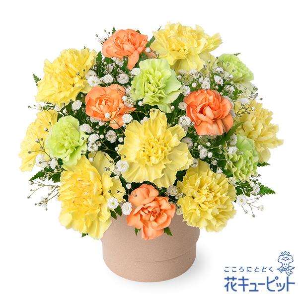 黄色とオレンジの花々を使った、ペットのためのお供えのアレンジメントです。明るい色合いの花をウッド調の器にたっぷりと活けて、飼い主様を元気付けられるように仕上げました。色とりどりの優しげな花が、飼い主様の心にそっと寄り添います。525014明...