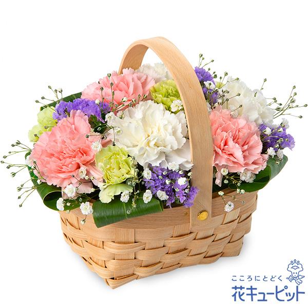 ピンクのカーネーションを使った、ペットのためのお供えのアレンジメントです。淡い色合いの花をウッドバスケットにぎゅっと活けて、飼い主様を元気付けられるように仕上げました。色とりどりの優しげな花が、飼い主様の心にそっと寄り添います。525015...