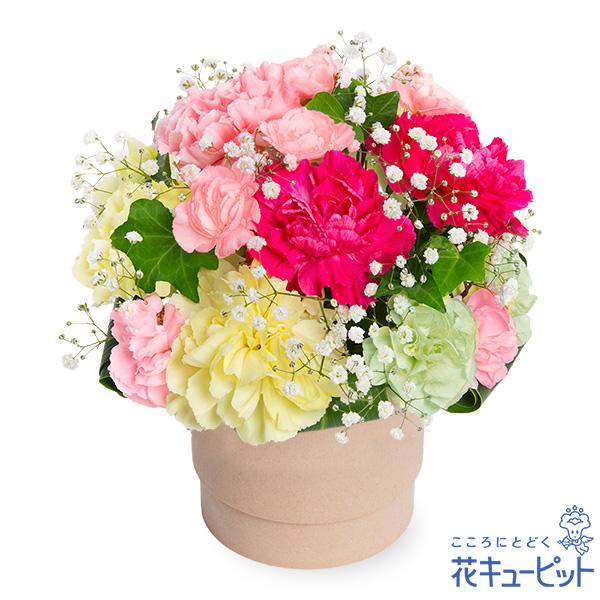 色とりどりの花々を使った、ペットのためのお供えのアレンジメントです。明るい色合いの花をウッド調の器にたっぷりと活けて、飼い主様の心にそっと寄り添えるように仕上げました。525027飼い主様の心にそっと寄り添うアレンジメント　かけがえのない家...