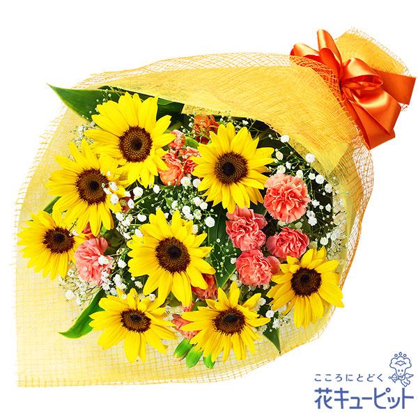 シンプルなひまわりの花束は、爽やかでボリューム満点！夏のお祝いにピッタリの花束です。524040ひまわりの爽やかな明るさがお祝いにぴったりです！　夏に贈るフラワーギフトNo.1！みんなが大好き！ひまわりのお花のギフトをご用意しました。花言葉...