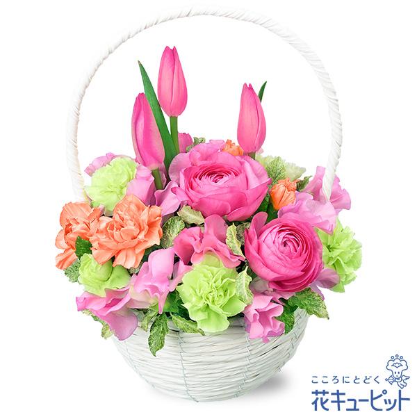 幾重にも重なった花びらがエレガントなラナンキュラスと、親しみのある可愛らしいチューリップをあわせた春らしいアレンジメント。鮮やかな色の花々が心を明るくしてくれます。どこから見ても花を楽しめるので、テーブルの真ん中などに飾りやすいスタイルとな...