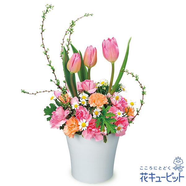 チューリップの伸びやかなシルエットが魅力的なアレンジメント。春を感じられるフラワーギフトは、春生まれの人への誕生日プレゼントにぴったりです。どこから見ても花を楽しめるので、テーブルの真ん中などに飾りやすいスタイルとなっています。525330...