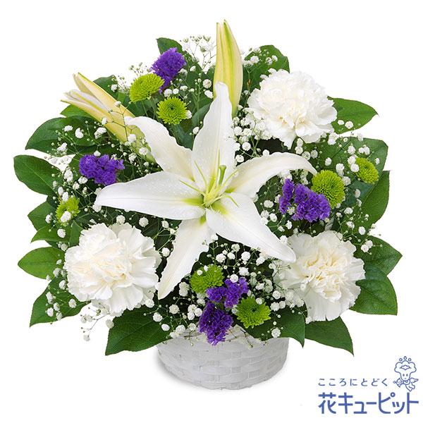 喪中のお知らせが届いたら、お供えの花とともに気持ちを贈りましょう。喪中見舞い・冬のお供えに最適なアレンジメントです。凛とした白ユリの周りに紫の花を添えて、落ち着いた雰囲気に仕上げました。寒い季節にご遺族の心へ寄り添う贈り物です。512596...
