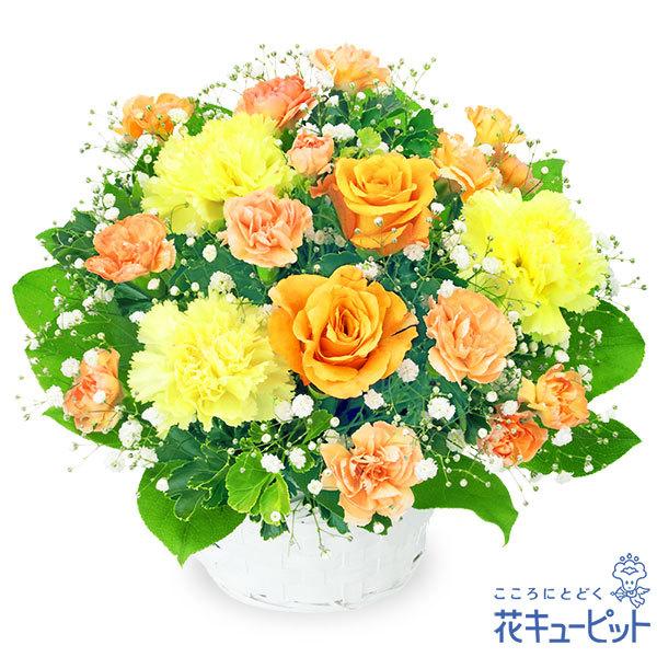 バラを中心に、オレンジ＆黄色のビタミンカラーでまとめたアレンジメントです。様々なお祝いはもちろん、日頃の感謝を伝えるプレゼントにもおすすめ。上品な雰囲気で、フォーマルな場面にも適しています。511999様々なシーンに適したビタミンカラーのア...