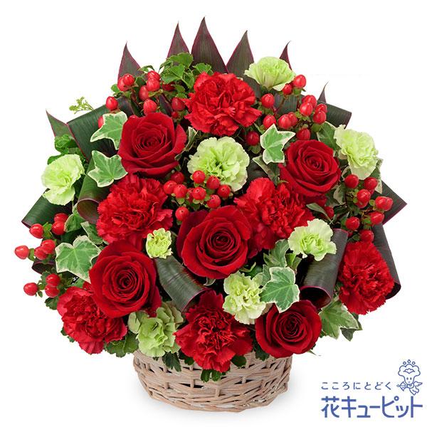 赤の花々をバスケットにたっぷりと生けたアレンジメントです。男性・女性を問わずに贈れるデザインとなっています。上品な赤バラの花言葉は「愛情」「情熱」「美」。赤い花は高級感があるので、いつもお世話になっている人や、目上の人へのプレゼントにもぴっ...