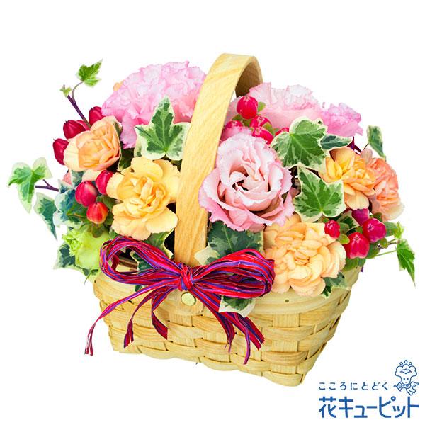ピンクのトルコキキョウと、あたたかい色合いのお花が優しい印象のアレンジメント。どこか安心できるデザインは、童話の中にでてくるような可愛さがあります。512097あたたかく優しい色合いのアレンジメント　お誕生日を迎える方には最適なプレゼント。...