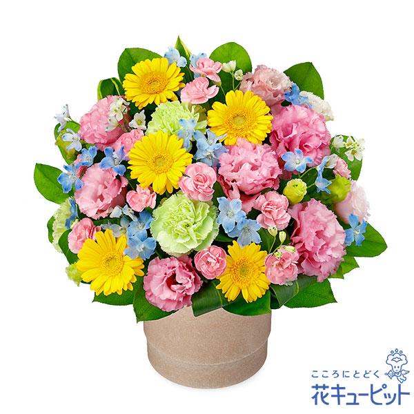 黄色のガーベラを中心に、ピンクや水色の花々で可愛らしくカラフルに仕上げたアレンジメント。512620可愛らしくカラフルに仕上げたアレンジメント　お誕生日を迎える方には最適なプレゼント。あなたのセンスが光るギフトです。　　【こんなご用途に】誕...