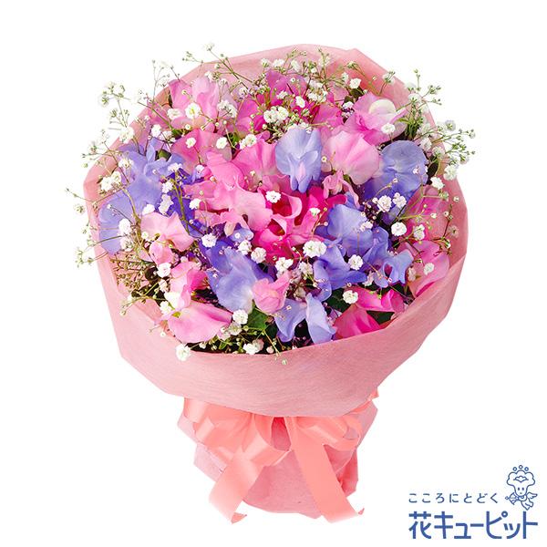 春の訪れを感じられるスイートピーの花束。ふんわりとした柔らかいシルエットが可愛らしく、優しいあの人に贈りたいプレゼントです。スイートピーの花言葉は「門出」。退職祝い・送別会や、卒業祝い・入学祝いのギフトにおすすめです。【こちらの商品は1月お...
