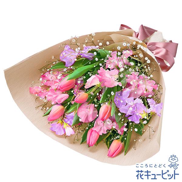 ピンクのチューリップと紫のスイートピーをあわせて、ふんわりと可愛らしくまとめた花束。甘さたっぷりの春らしい色合いに仕上げた、1月から3月のみ取り扱いの春限定ギフトです。春生まれの人への誕生日プレゼントや、退職祝い・送別会のギフトにおすすめで...