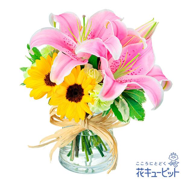 ピンクのユリとひまわりを合わせた爽やかな花束。見ているだけで元気になるような明るい色合いは、輝く夏の太陽を思わせます。そのまま飾れる花瓶付きのギフトなので、ご自宅に花瓶がない人へのプレゼントにもおすすめです。524042輝く夏の太陽を思わせ...