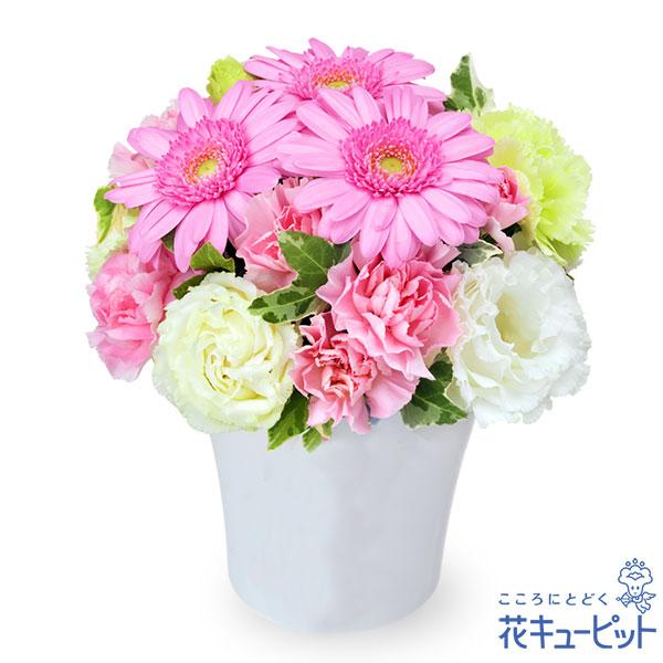 美しい花々をぎゅっと詰め込みながら、すっきりとして上品なアレンジメントに仕上げました。飾る場所を選ばないサイズ感も、嬉しいポイントの１つです。【こちらの商品は3月お届け限定となります】524133飾る場所を選ばない上品なフラワーギフト　お誕...