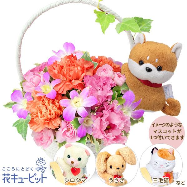 白いバスケットにピンクデンファレをぎゅっと詰め込んだ、お花畑のようなアレンジメントです。花キューピットで人気な動物のマスコットが、大切な人に笑顔をプレゼント。マスコットは、パンダ・三毛猫・うさぎなどの豊富なラインナップから1つお付けいたしま...