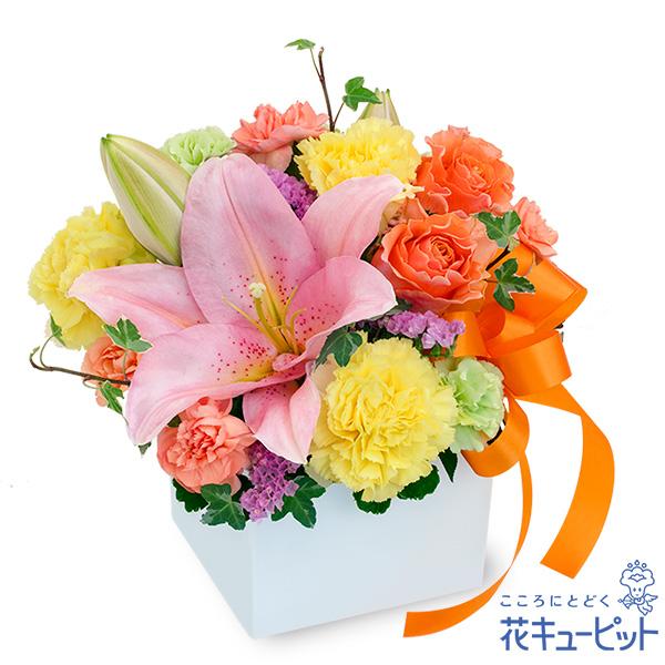 鮮やかで存在感のあるユリが主役のアレンジメント。プレゼントに欠かせないオレンジのリボンを添えて、明るくポップな色合いに仕上げました。どこから見ても花を楽しめるスタイルで、テーブルの真ん中などにも飾ることができます。524329オレンジのリボ...