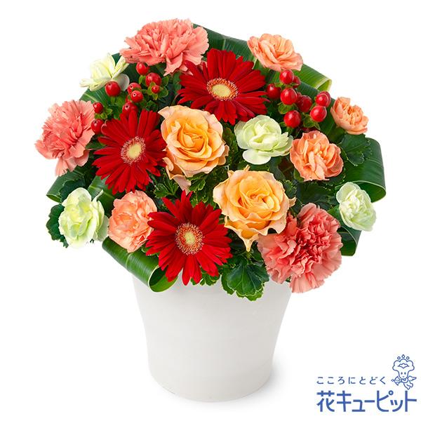 オレンジバラと赤ガーベラを中心に鮮やかな色合いでまとめながら、落ち着いた印象に仕上げたアレンジメント。フォーマルな場面でも映えるボリュームです。シックな見た目で男性・女性を問わずにお贈りいただけるフラワーギフトです。524401シックな見た...