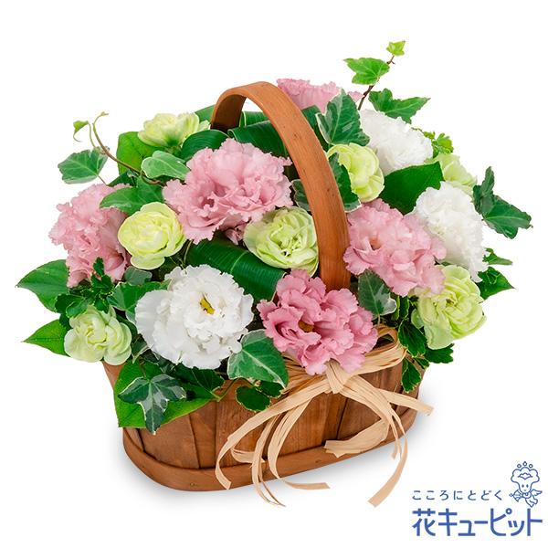 トルコキキョウにグリーンをたっぷりとあわせて、ふんわりとしたシルエットに仕上げたアレンジメント。ナチュラルなウッドバスケットが、花の可憐さを引き立たせます。誕生日や記念日などのプレゼントにおすすめです。目上の人へのギフトとしても、年齢を選ば...