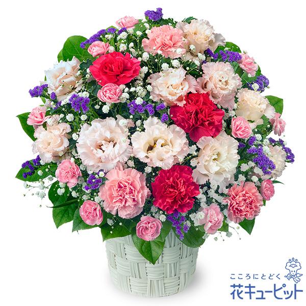 トルコキキョウにスターチスをあわせて、爽やかな可愛らしさを表現したアレンジメント。ピンクの濃淡と紫の挿し色が魅力的です。誕生日や結婚記念日などの贈り物はもちろん、開店祝い・移転祝いといったフォーマルなギフトにも最適。目上の人へのギフトとして...