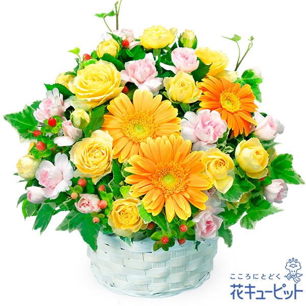 オレンジガーベラの鮮やかなアレンジメント。太陽の光を浴びて花びらを目いっぱい広げたガーベラは、見る人の心を元気にしてくれます。525043見る人の心を元気にしてくれるアレンジメント　お誕生日を迎える方には最適なプレゼント。あなたのセンスが光...