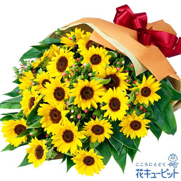 ひまわりが主役なボリューム満点の花束です。太陽に向かって咲くひまわりから、たくさんのパワーを感じられます。ご自宅用にも、元気づけたいあの人への贈り物にもおすすめです。525047ひまわりが主役なボリューム満点の花束　お誕生日を迎える方には最...
