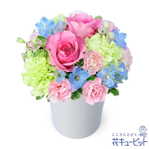 特に女性から人気のあるピンクバラなどの花々が可愛らしいアレンジメント。淡く優しい印象のパステルカラーが、お届け先を幸せな気持ちで包んでくれます。幅広い年代の方から喜んでもらえるフラワーギフトです。525262淡く可愛らしいパステルカラーのお...