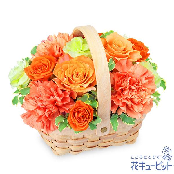 ジューシーな色のオレンジバラを、コンパクトなサイズのウッドバスケットにぎゅっと詰め合わせたアレンジメント。見ているだけで気持ちが明るくなるような花です。誕生日やお祝いにぴったりなプレゼント・ギフトです。525273ジューシーな色が可愛いオレ...