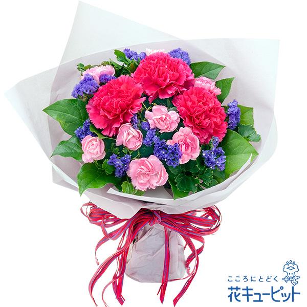 鮮やかな濃いピンクのカーネーションに紫の小花をあわせて、大人びた可愛らしさを表現した花束。ラッピングはナチュラルで落ち着いた雰囲気に仕上げました。誕生日や結婚記念日のほか、目上の人へのプレゼントにもおすすめ。年齢を選ばずにお贈りいただけるフ...
