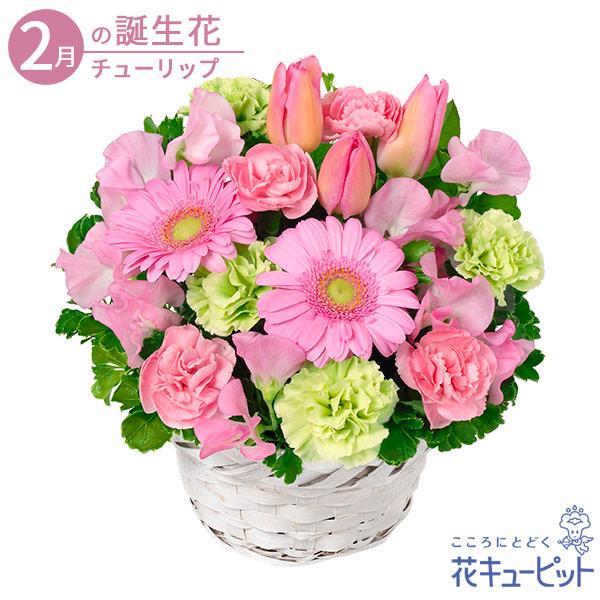 春の花であるチューリップを使って、可愛らしいピンク色でまとめたアレンジメント。可憐な花々をぎゅっと詰め込みました。春の誕生日プレゼントやお祝いのギフトにぴったりです。【こちらの商品は2月お届け限定となります】524028可憐な春の花々をぎゅ...