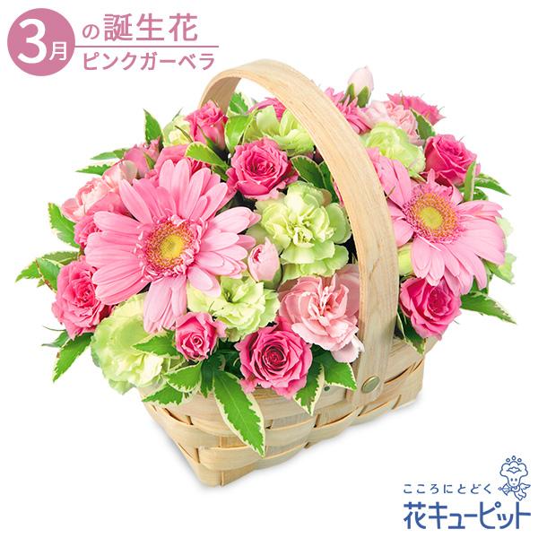 可愛らしいウッドバスケットに、ピンク色のお花をやさしくアレンジしました！511565見ているだけで、微笑んでしまいそうバスケットアレンジ　お誕生日に最適なプレゼント。花言葉にのせて誕生花を贈りましょう。ピンクガーベラの花言葉は「希望」、「童...