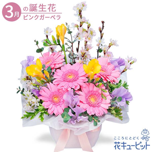 だんだんと暖かくなってくる3月に生まれたあの人に贈りたい、特別なバースデーアレンジメント。春の訪れをイメージした、ピンク×イエロー×パープルの3色を中心にまとめました。桜をはじめとする春のお花が、お誕生日を素敵に彩ります。【お届け可能日は ...