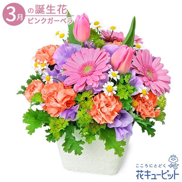 春をイメージさせるピンクやオレンジの花々でまとめたアレンジメント。特に女性からの人気が高いガーベラやチューリップなどの花々が、大切な方に春の訪れをお知らせします。お部屋のどこにでも飾りやすいので、花をもらい慣れていない人にも喜ばれるサイズと...