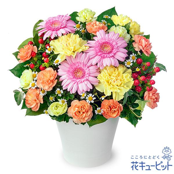 ガーベラとカーネーションをあわせて、王道のカラフルな色合いに仕上げたアレンジメント。人気が高いピンク・黄色・オレンジの花々をたっぷりとお楽しみいただけます。誕生日の贈り物として、特に女性へのプレゼントにおすすめです。524415人気が高いピ...