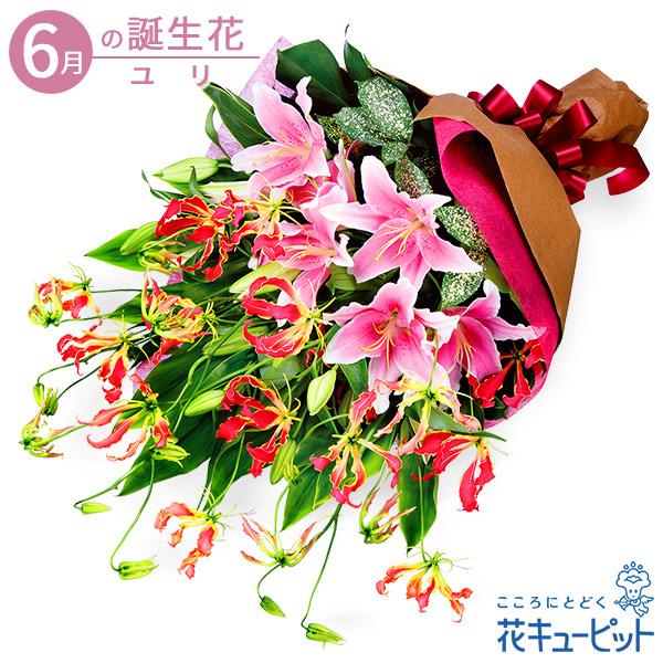ピンクユリと真っ赤な花が特徴のグロリオサの花束は、贈りものにぴったり！華やかなだけでなく、上品さを兼ね備えた花束はお祝いごとや発表会などにもオススメです♪511385人気のピンクユリをゴージャスな花束に！　6月の誕生花は大きな花が美しいユリ...